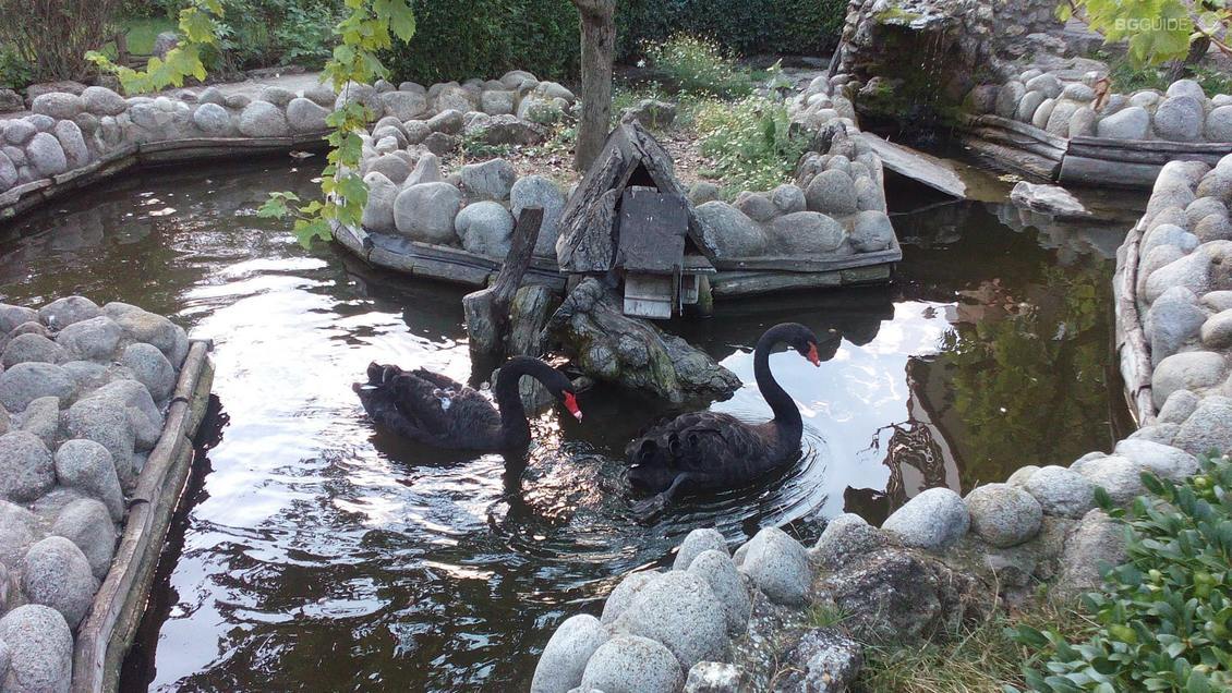 Калимански хан - BG Guide